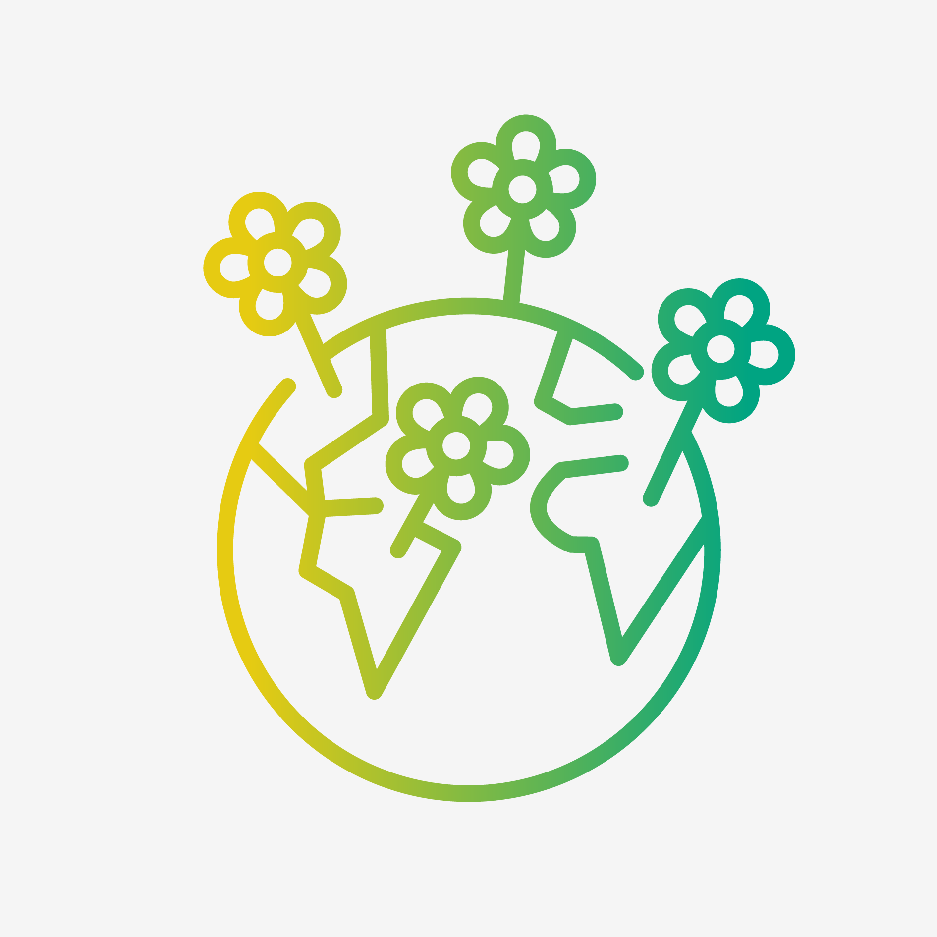 Flower Direct