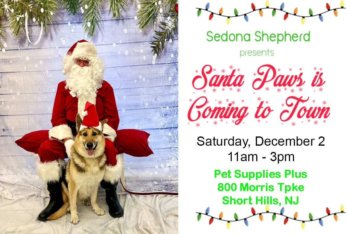 Events — Sedona Shepherd