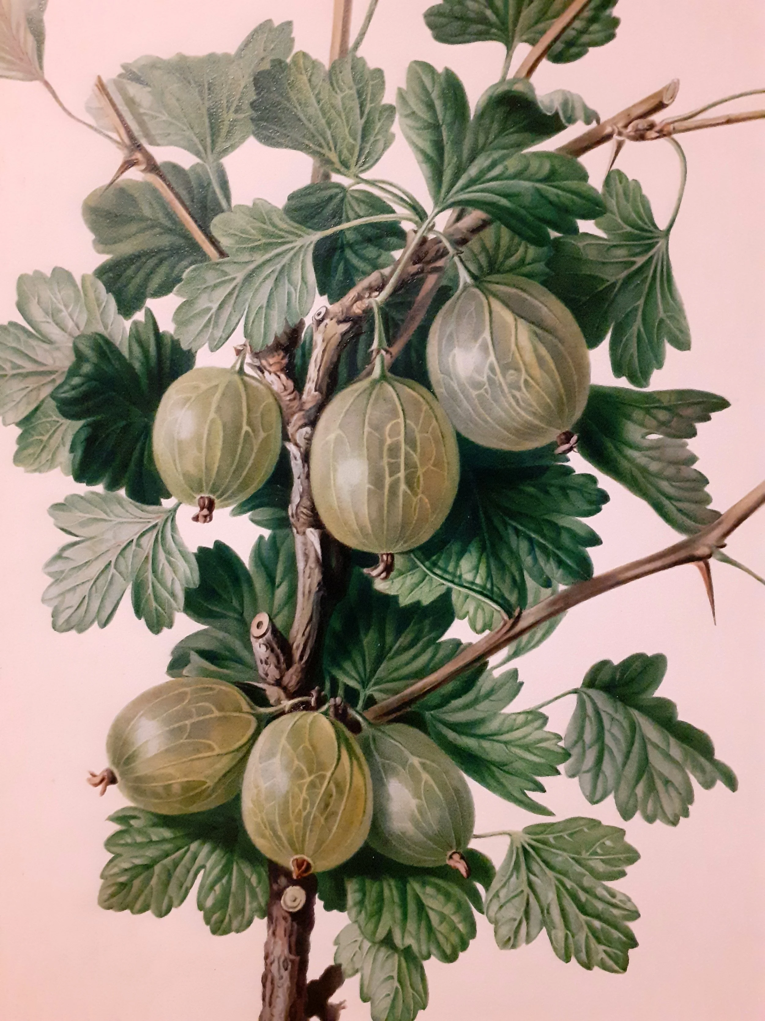 Battles, Self-Portraits, Satires: Women Artists 1520-1920 — The ...