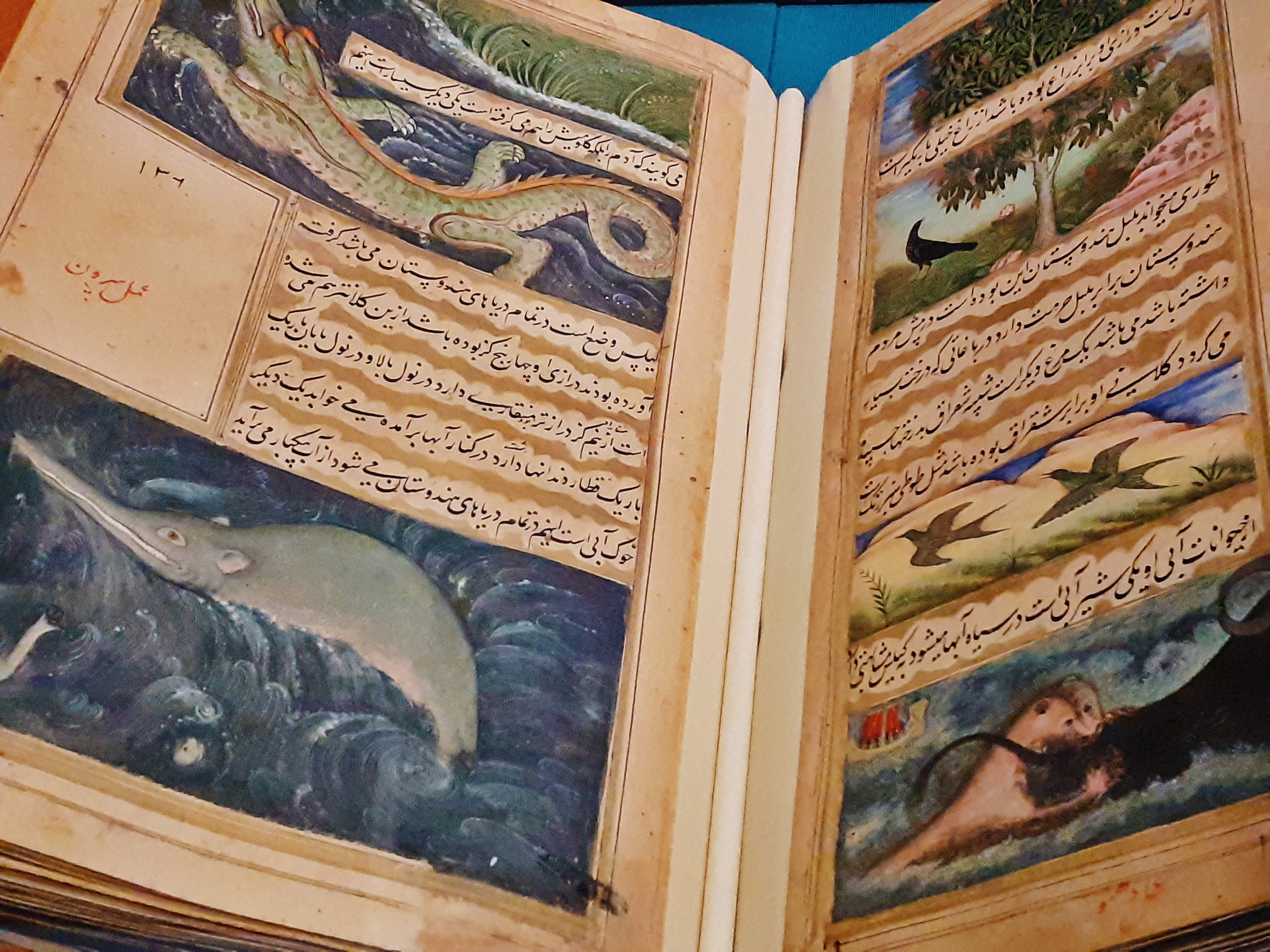 Animals: Art, Science and Sound at the British Library — The ...