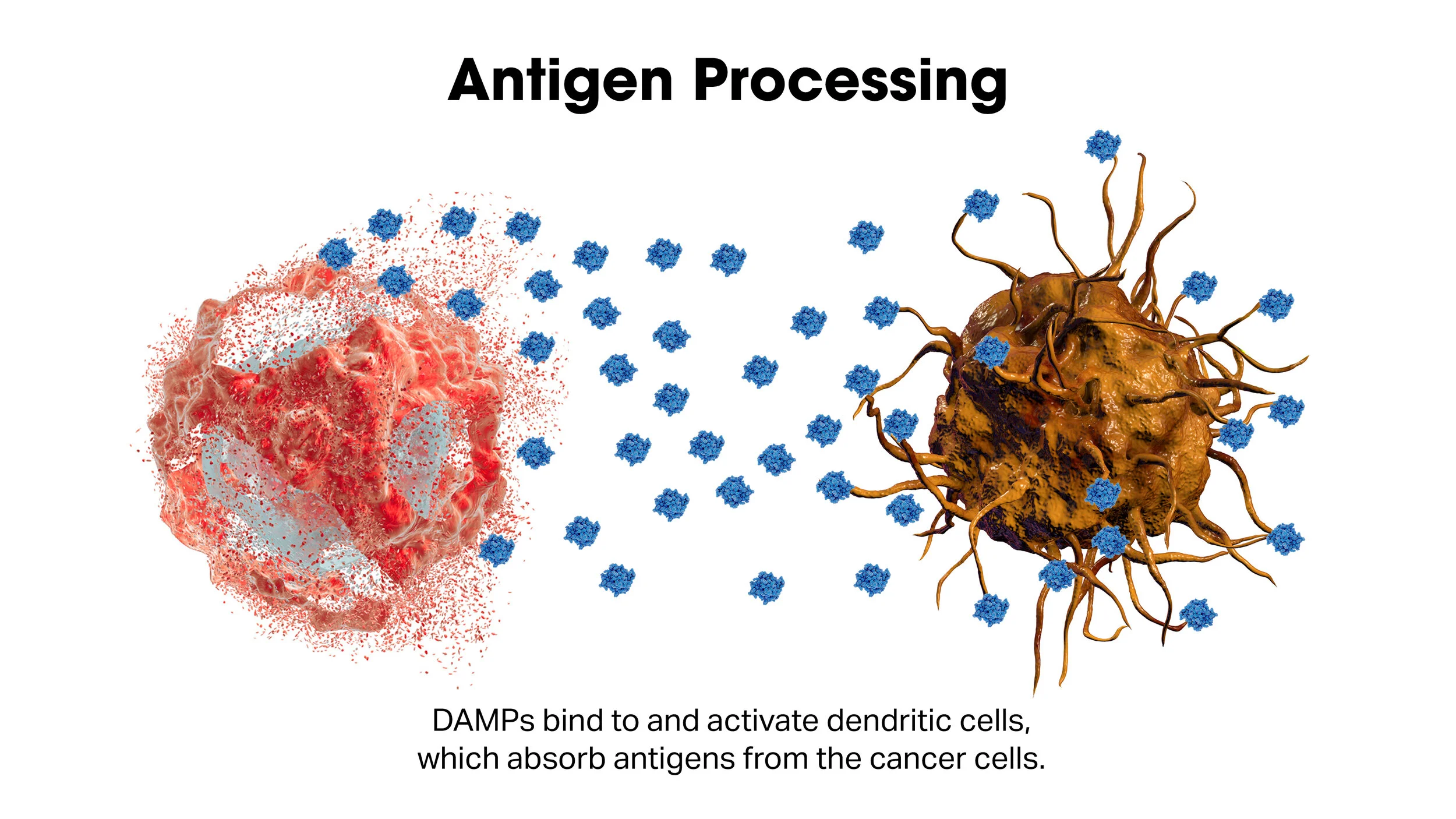 Scientific Overview | Promontory Therapeutics | Advancing small ...