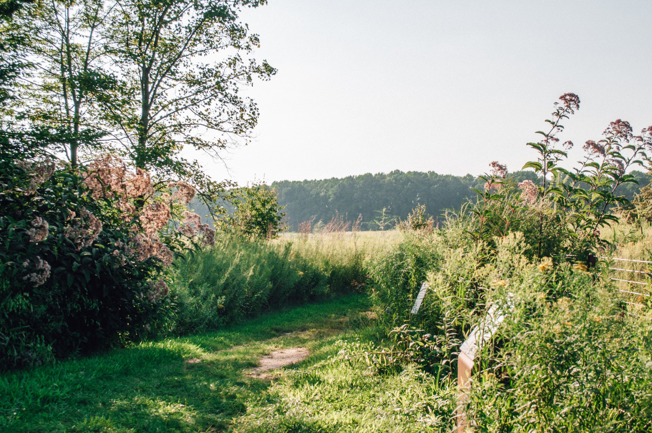 Meg Summerfield Studio