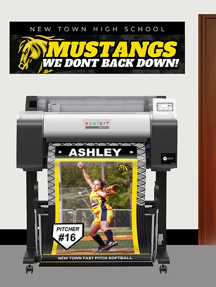 Poster Printing — Franklin Lakes Public Library