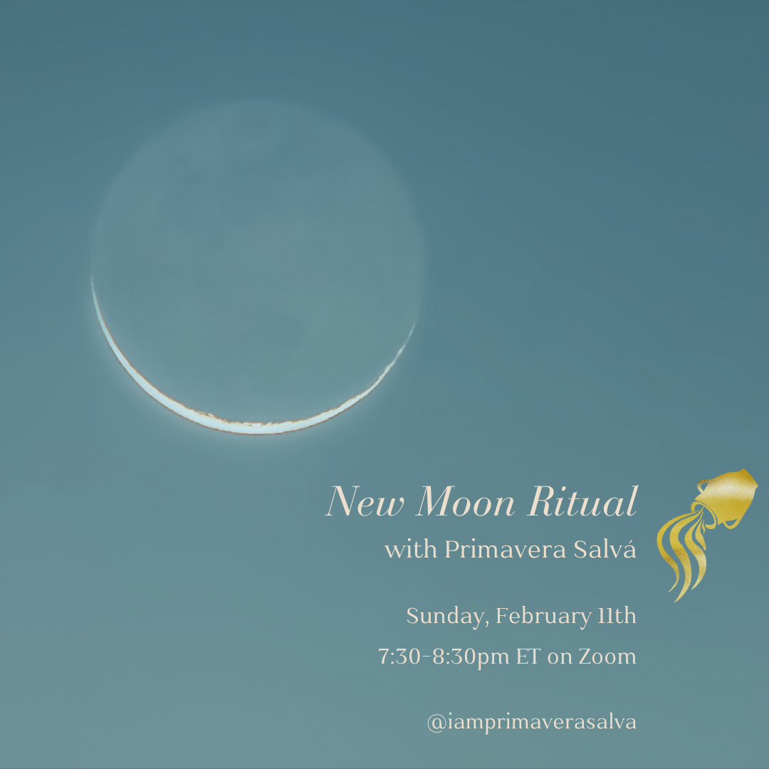 New Moon in Aquarius 02/11 — Reconnect with Primavera Salvá
