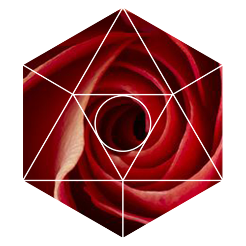 Reconnect with Primavera Salvá