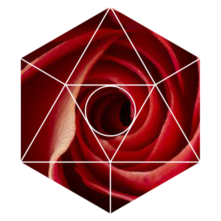 Reconnect with Primavera Salvá