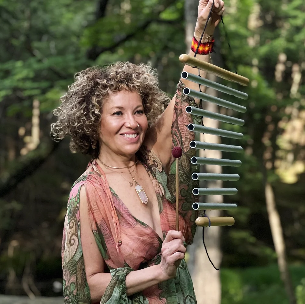 Reconnect with Primavera Salvá