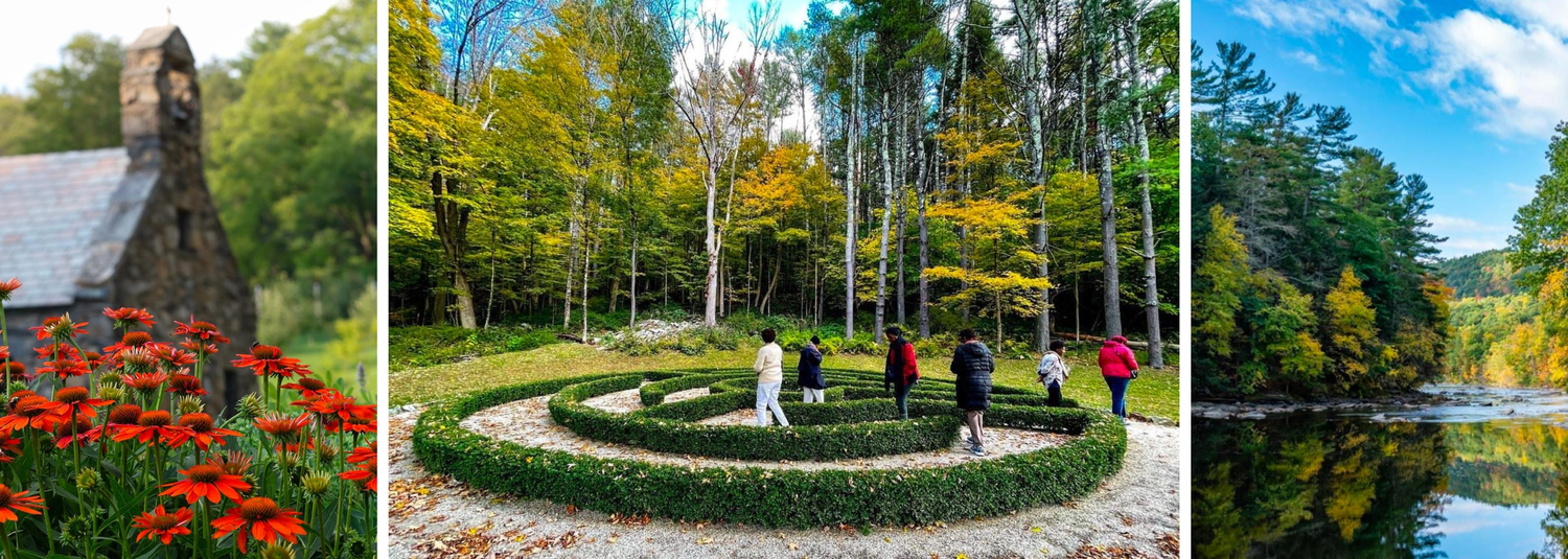 Reconnect with Primavera Salvá