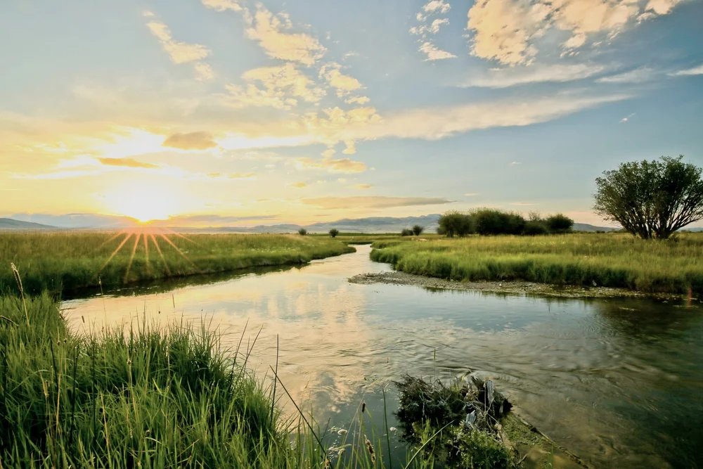 Miller Recreational Development