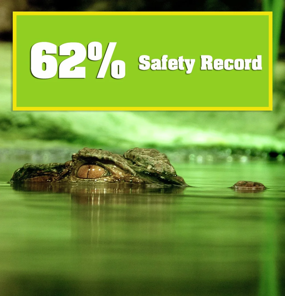 Swim With Gators — The Miami of Minnesota