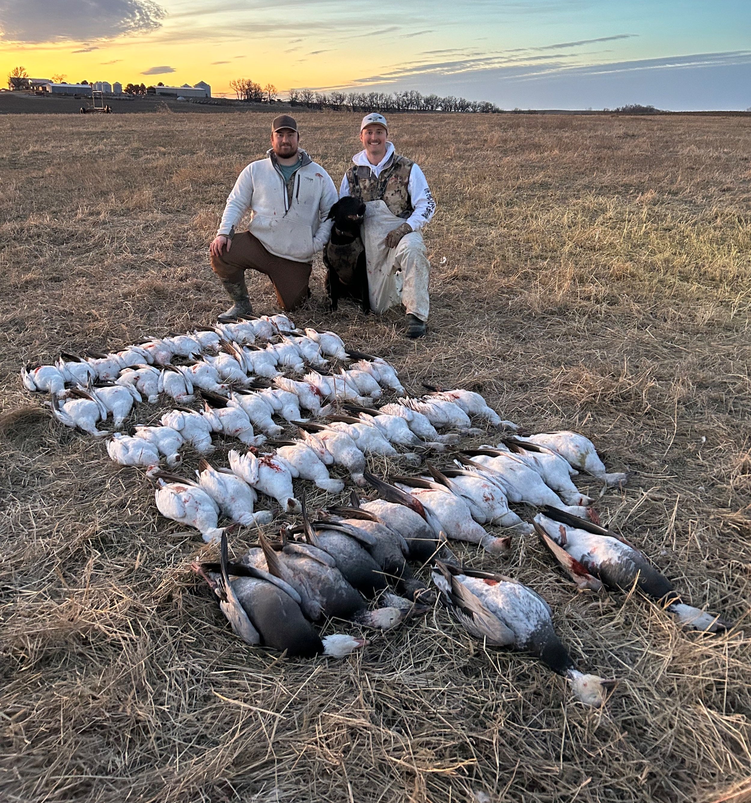 Hunts — Golden Goose Waterfowl