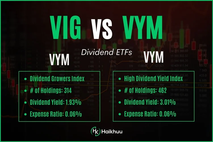 VIG vs. VYM | Comparing Vanguard Dividend ETFs — HaiKhuu Trading