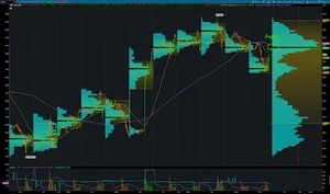 thinkorswim Volume Profile Indicator Guide — HaiKhuu Trading