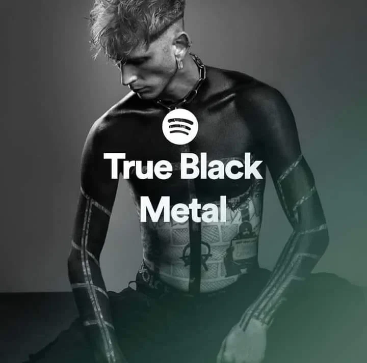 ARE YOU A METAL POSER? A Guide to Navigating Metal’s Oldest Debate ...