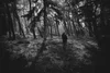 Afsky Interview: A Journey From Grief to Beauty — The Heavy Metal Citadel
