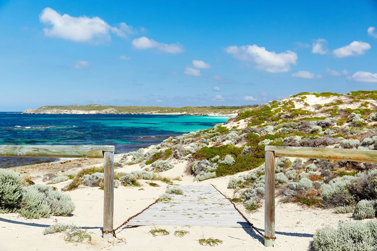 Rottnest Ferry Deals - Rottnest Events | Rottnest Fast Ferries