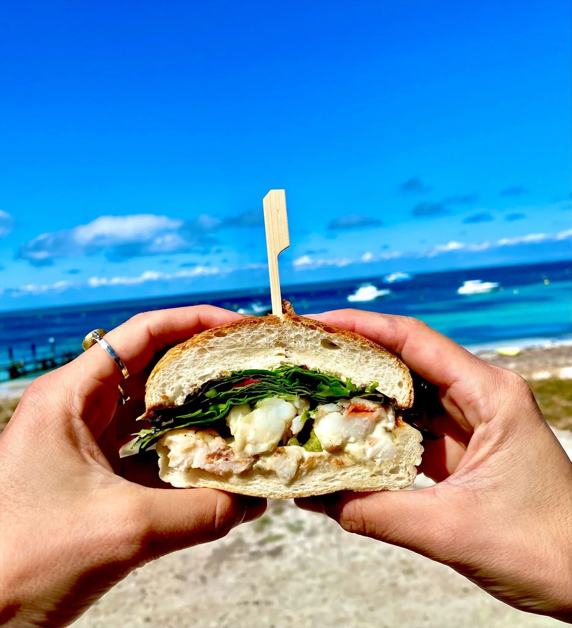 The Best of Rotto Combo - Local Experience Package - Rottnest Fast Ferries