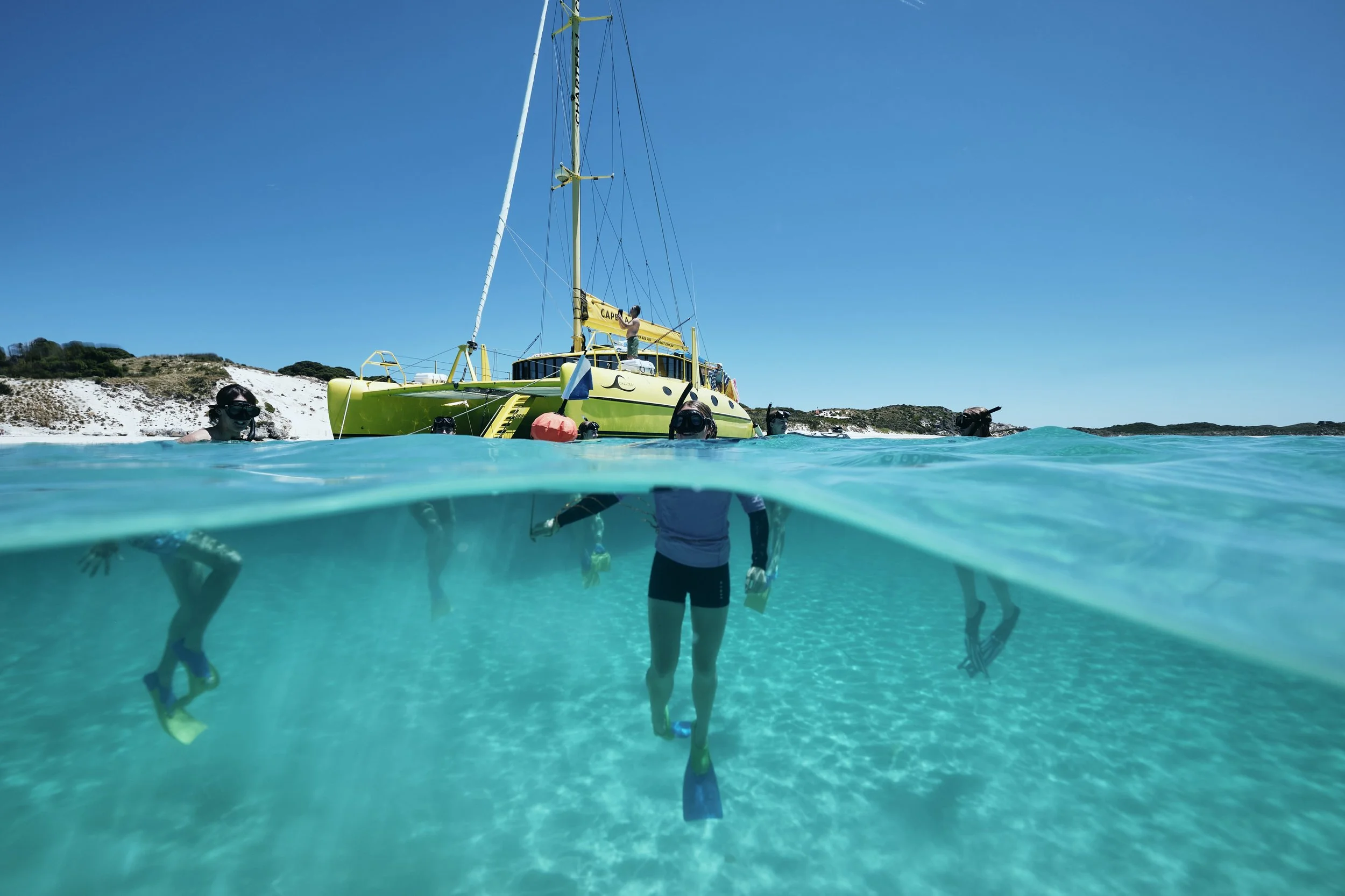 Rottnest Snorkelling & Catamaran Tour - Rottnest Fast Ferries