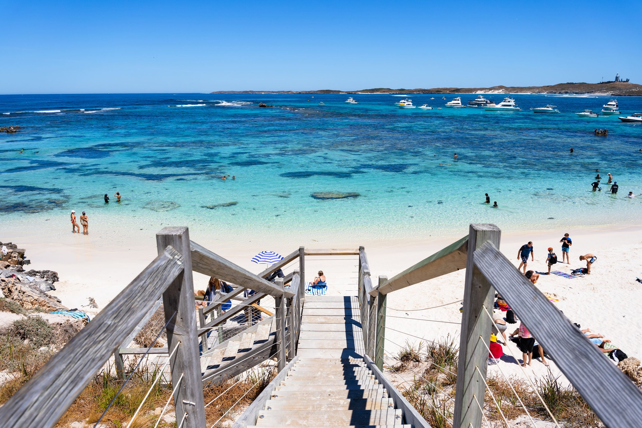 Experts on Rotto | Our Teams Recommendations - Rottnest Fast Ferries