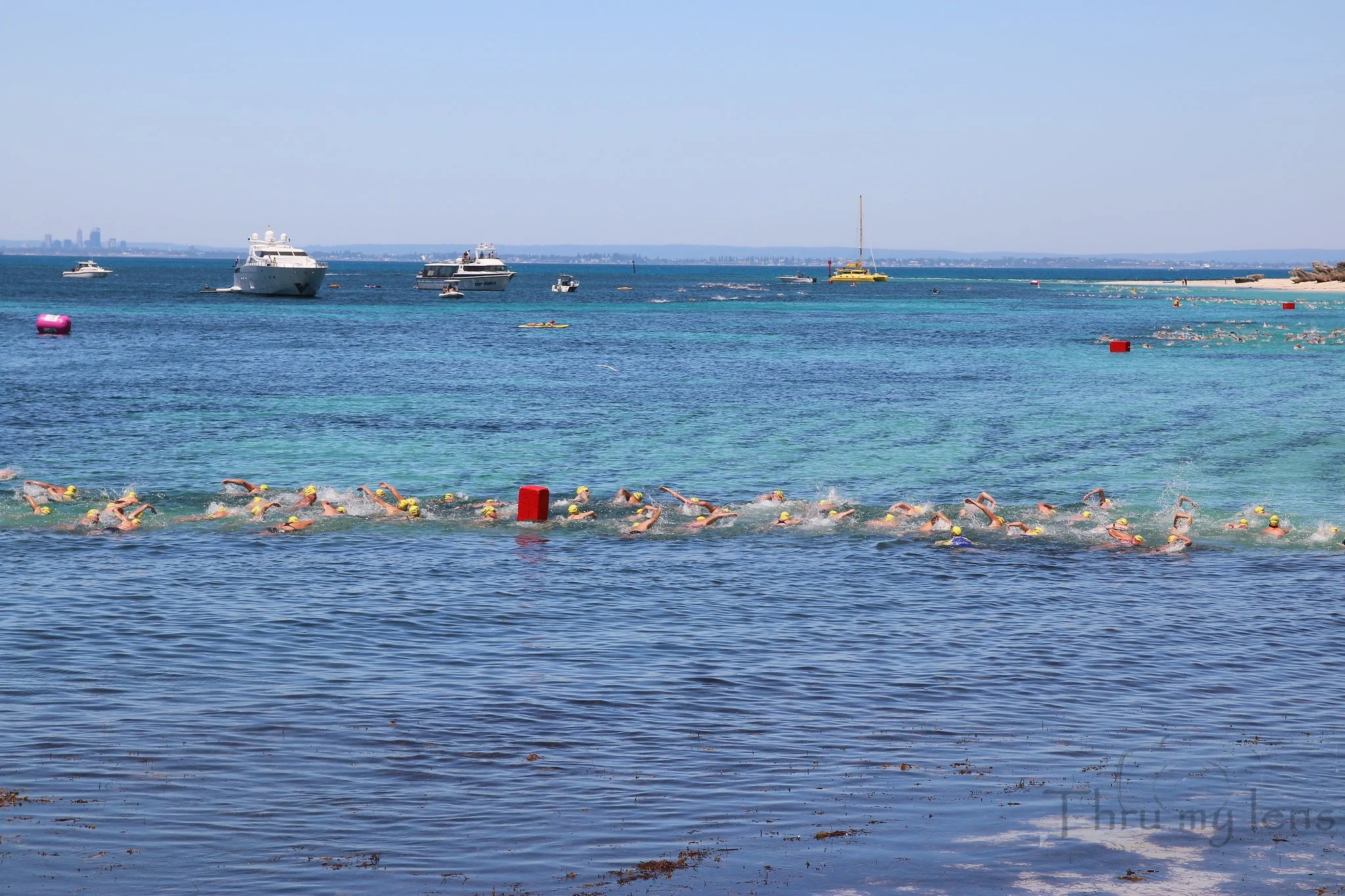 Swim Thru Rottnest Rottnest Fast Ferries Swim Thru Rottnest Rottnest Fast Ferries