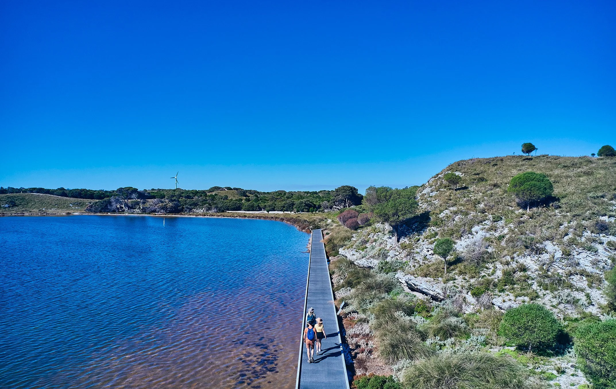 Rottnest Island Ferry & Packages | Rottnest Fast Ferries