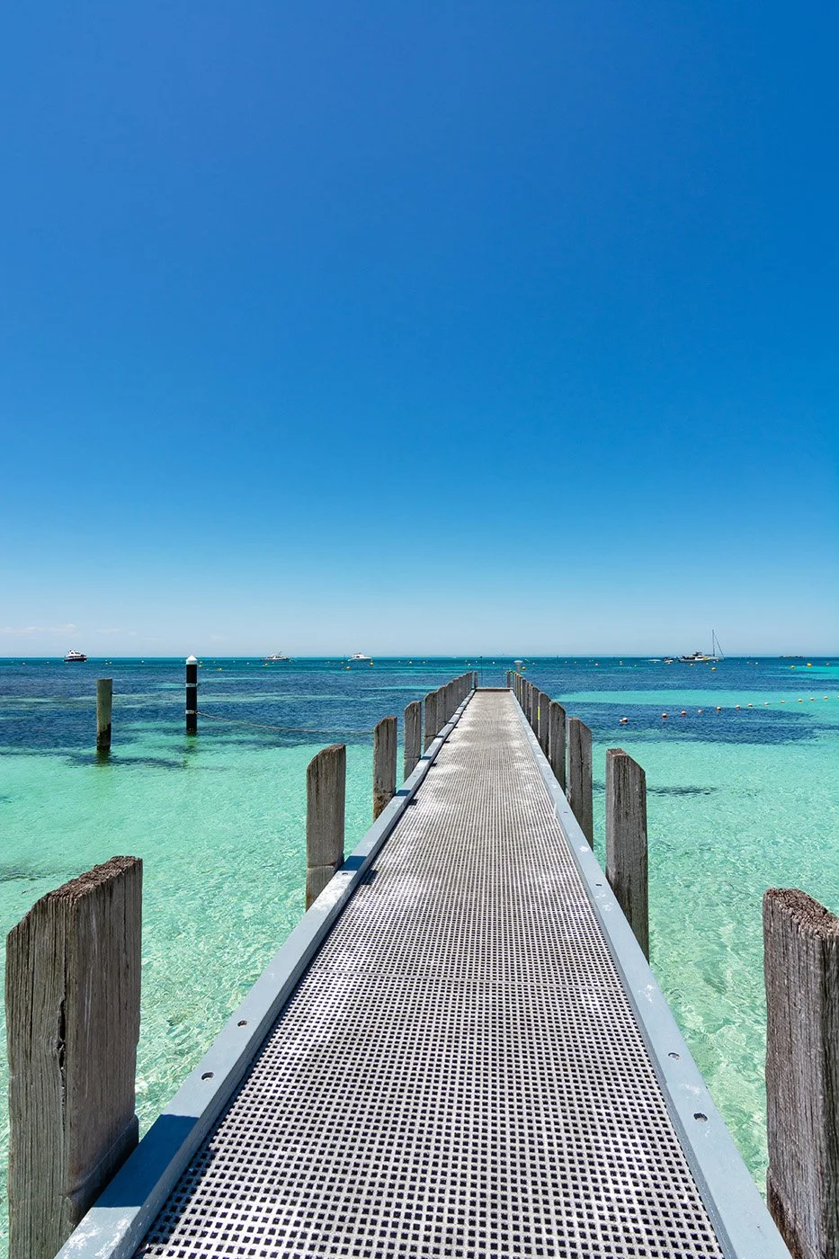 Top Things to Do on Rottnest Island - Rottnest Fast Ferries