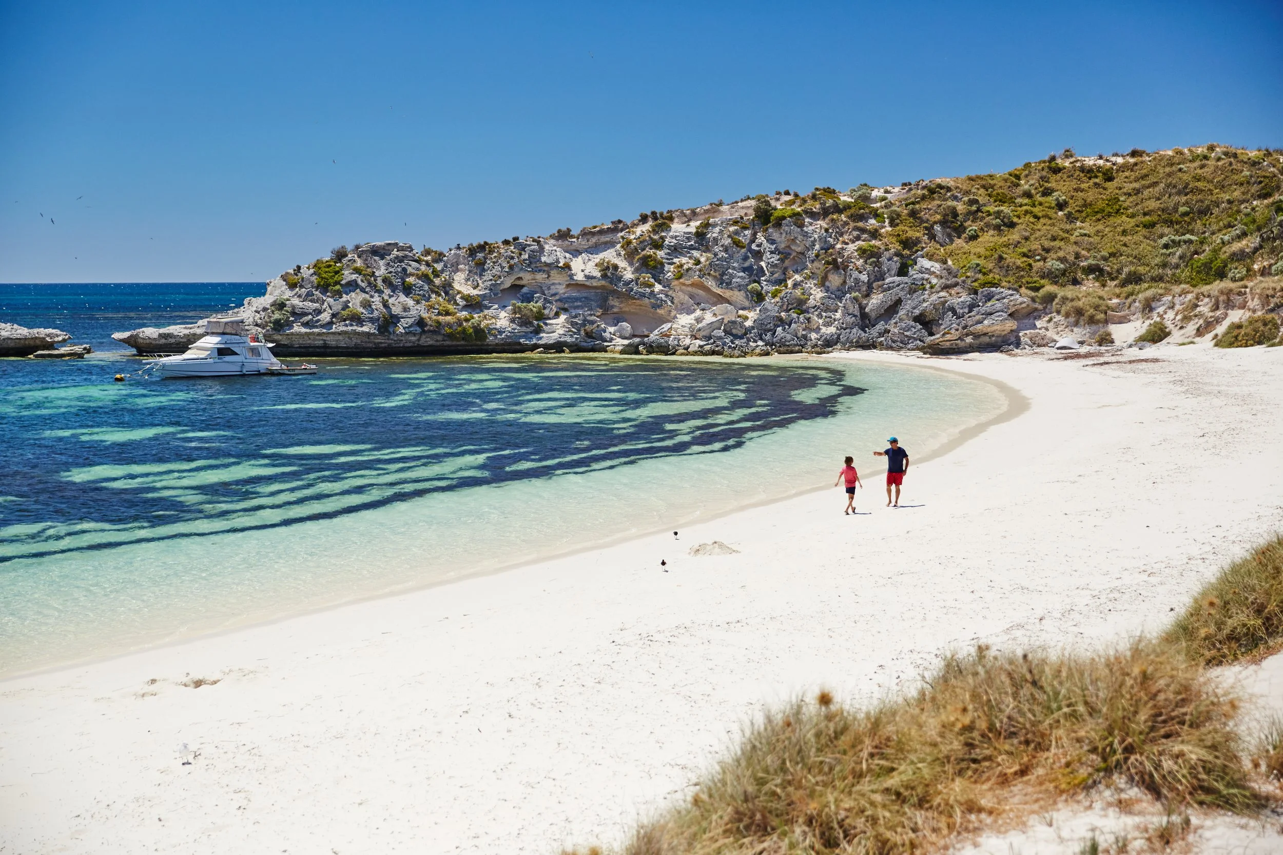 Best 8 Beaches to Explore on Rottnest Island - Rottnest Fast Ferries