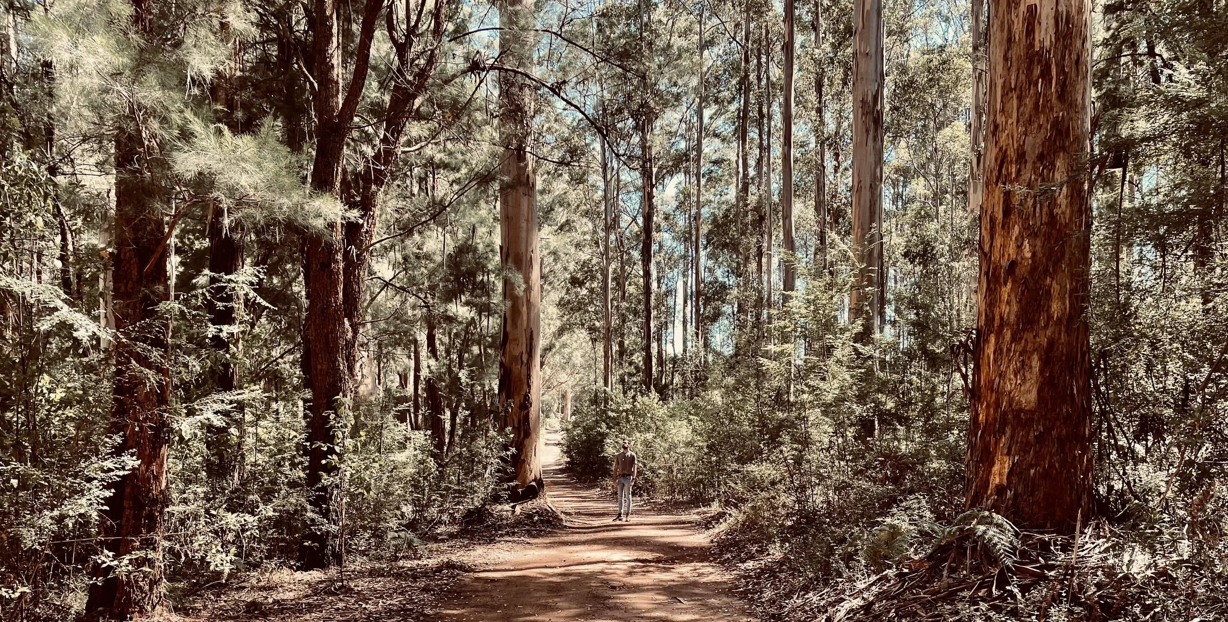 Koorlong Moort — Koorlong