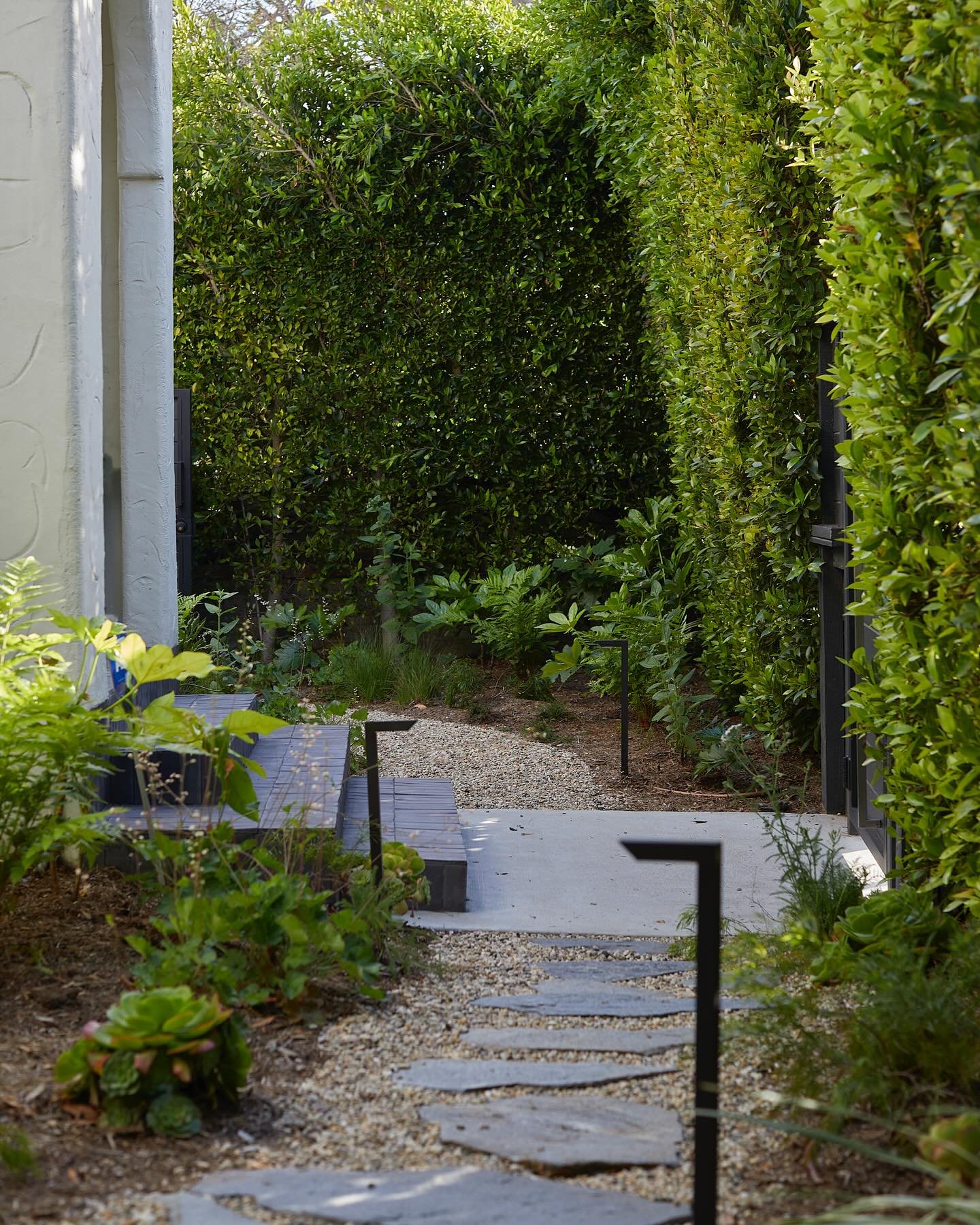 Clarissa “Soften” — Nectar