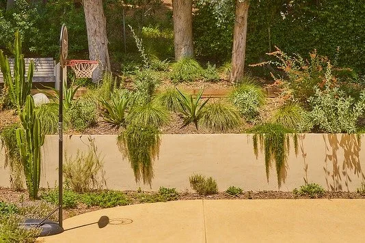 Clarissa “Soften” — Nectar