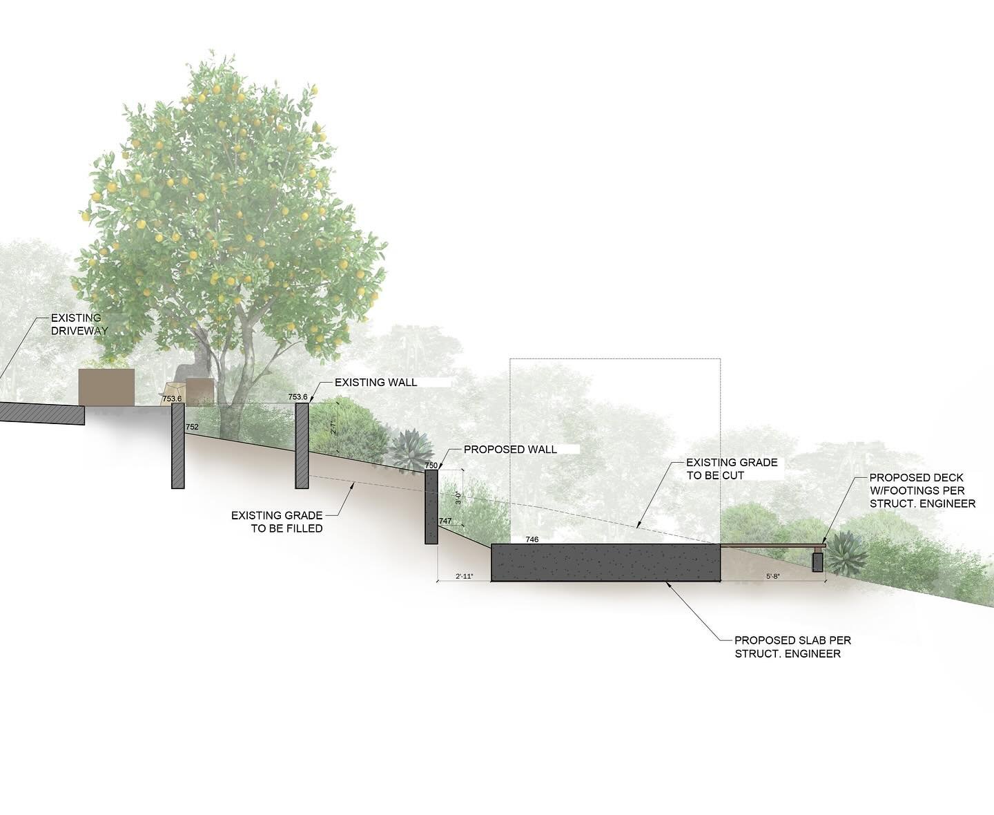 Clarissa “Soften” — Nectar