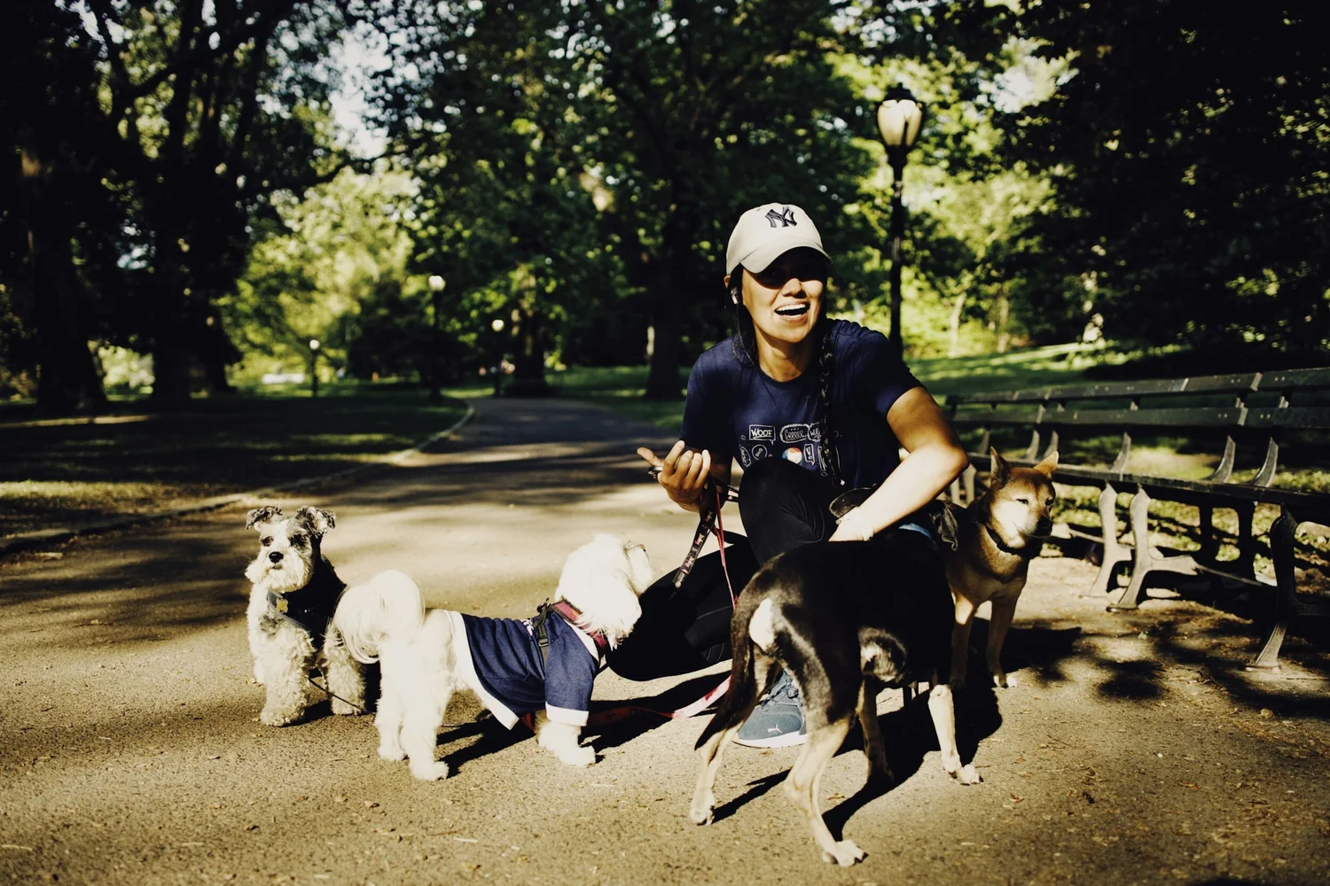 My thoughts on fatal dog attacks on humans… — Paul Lasky Dog Training ...