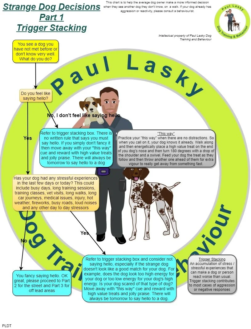 Strange Dog Decisions Part 1: Trigger Stacking — Paul Lasky Dog Training & Behaviour