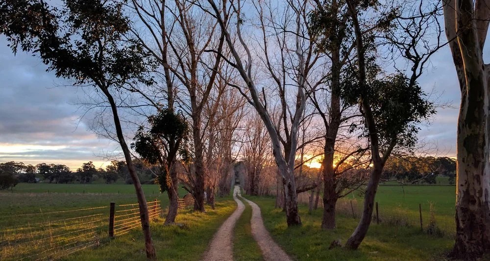 Contact — ATKINS FARM