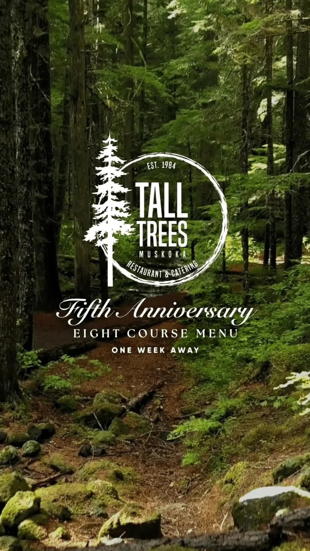 Lunch Summer — Tall Trees Restaurant Muskoka