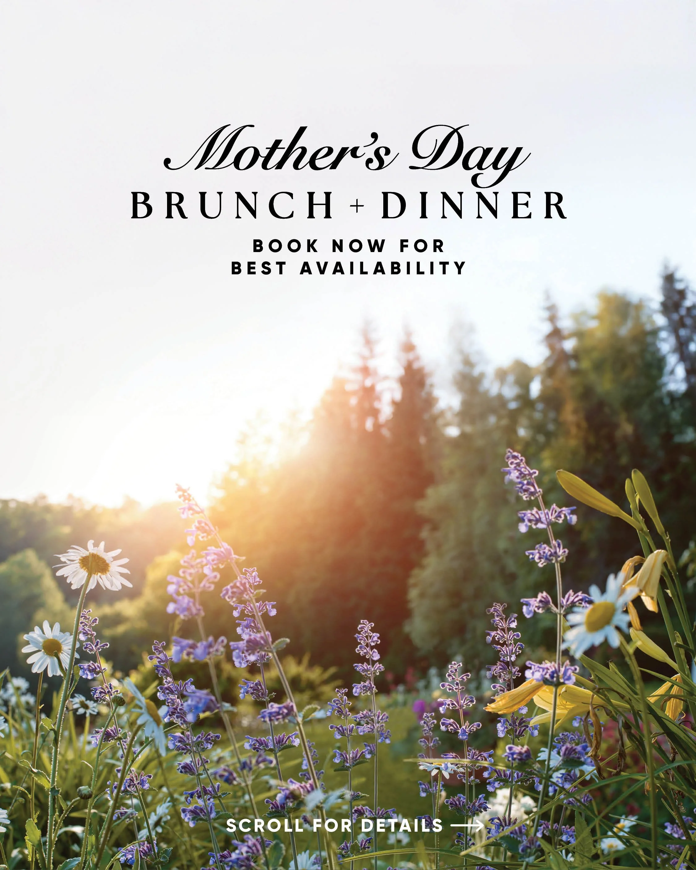EVENTS — Tall Trees Restaurant Muskoka