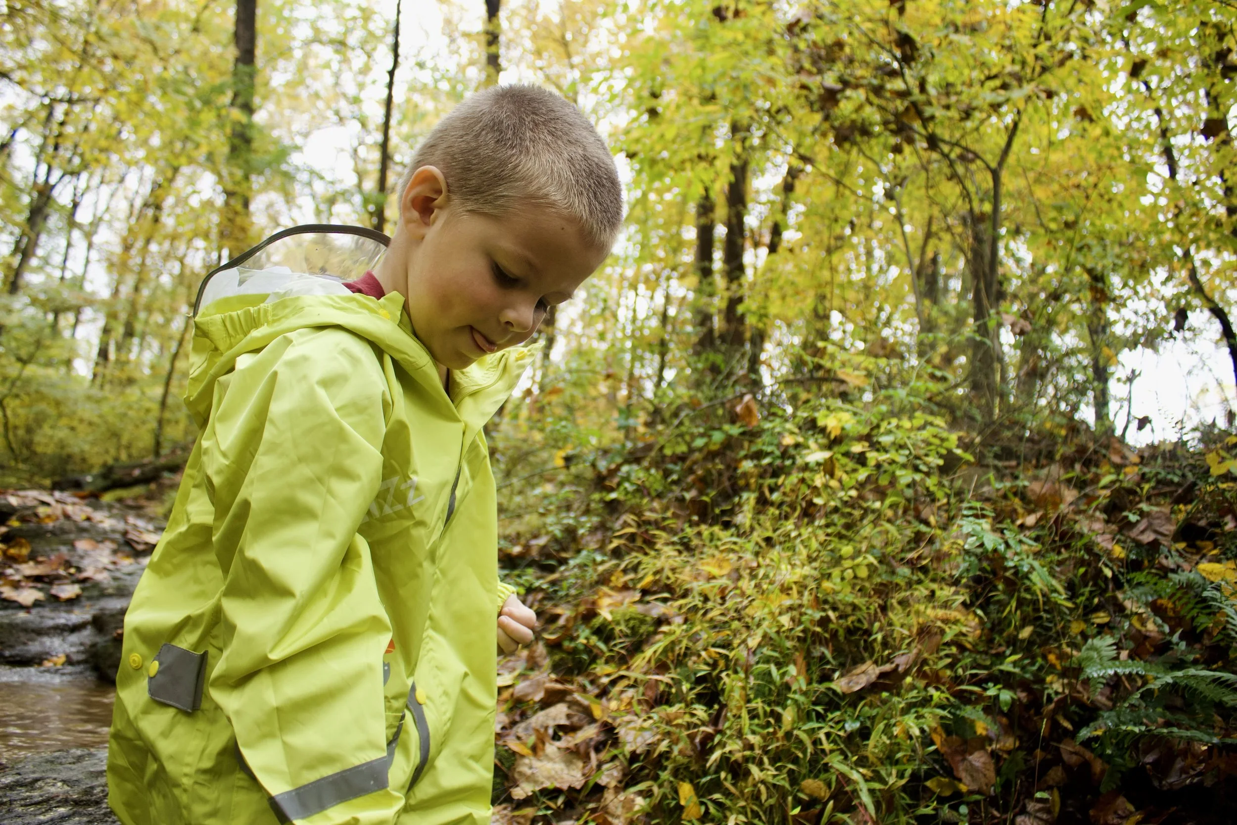 Beachmont Child Care Program