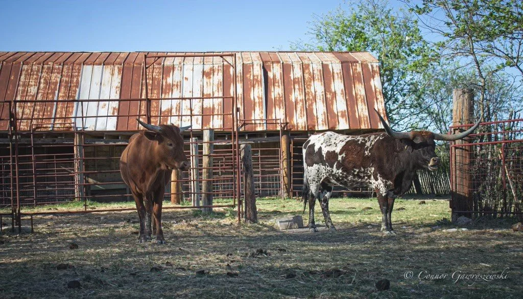 About — Powell Ranch