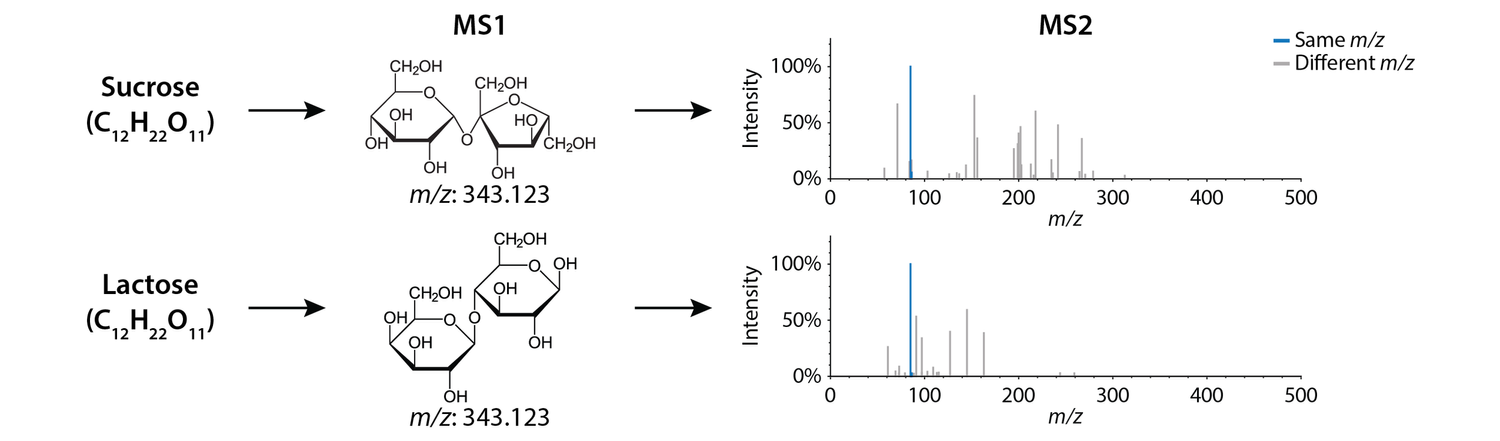 MS1 vs. MS2 (or both!) — Ometa Labs