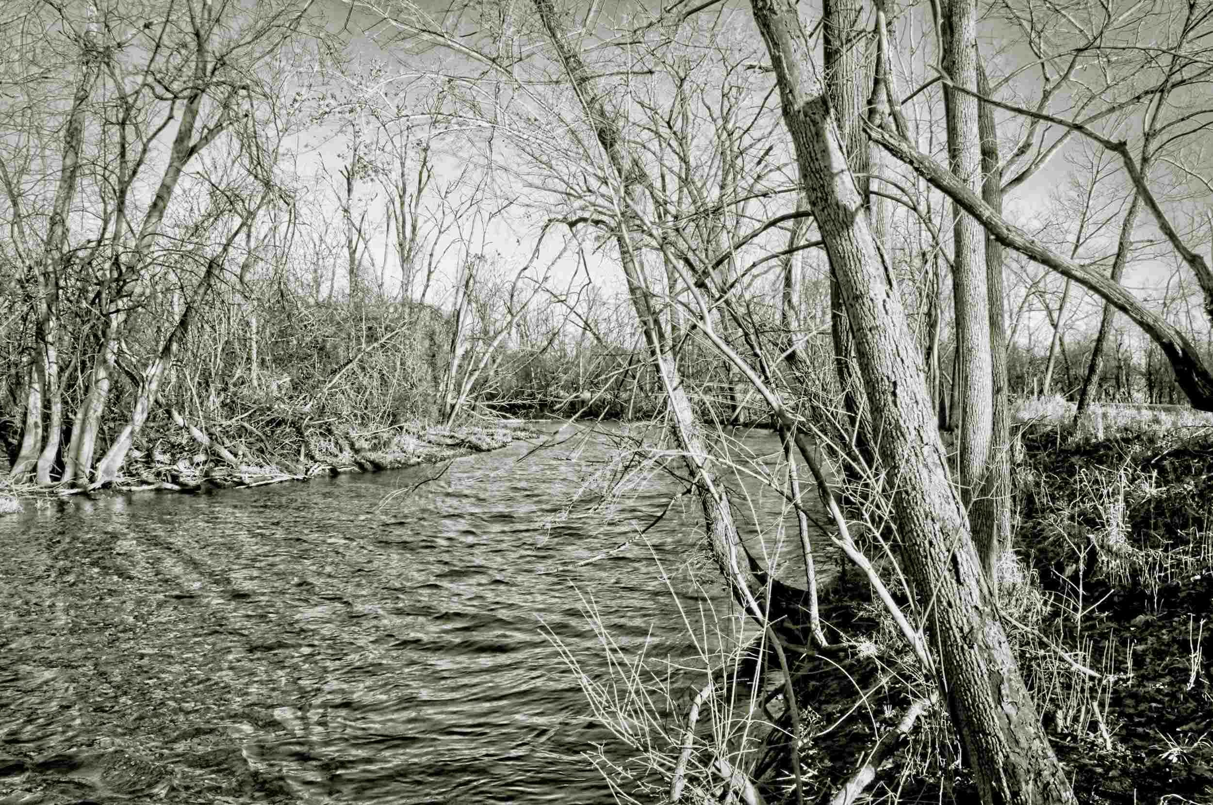 Middle Branch Partners