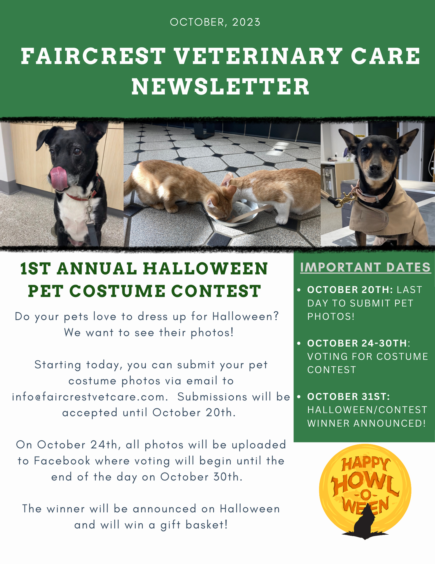 Newsletters — Faircrest Veterinary Care