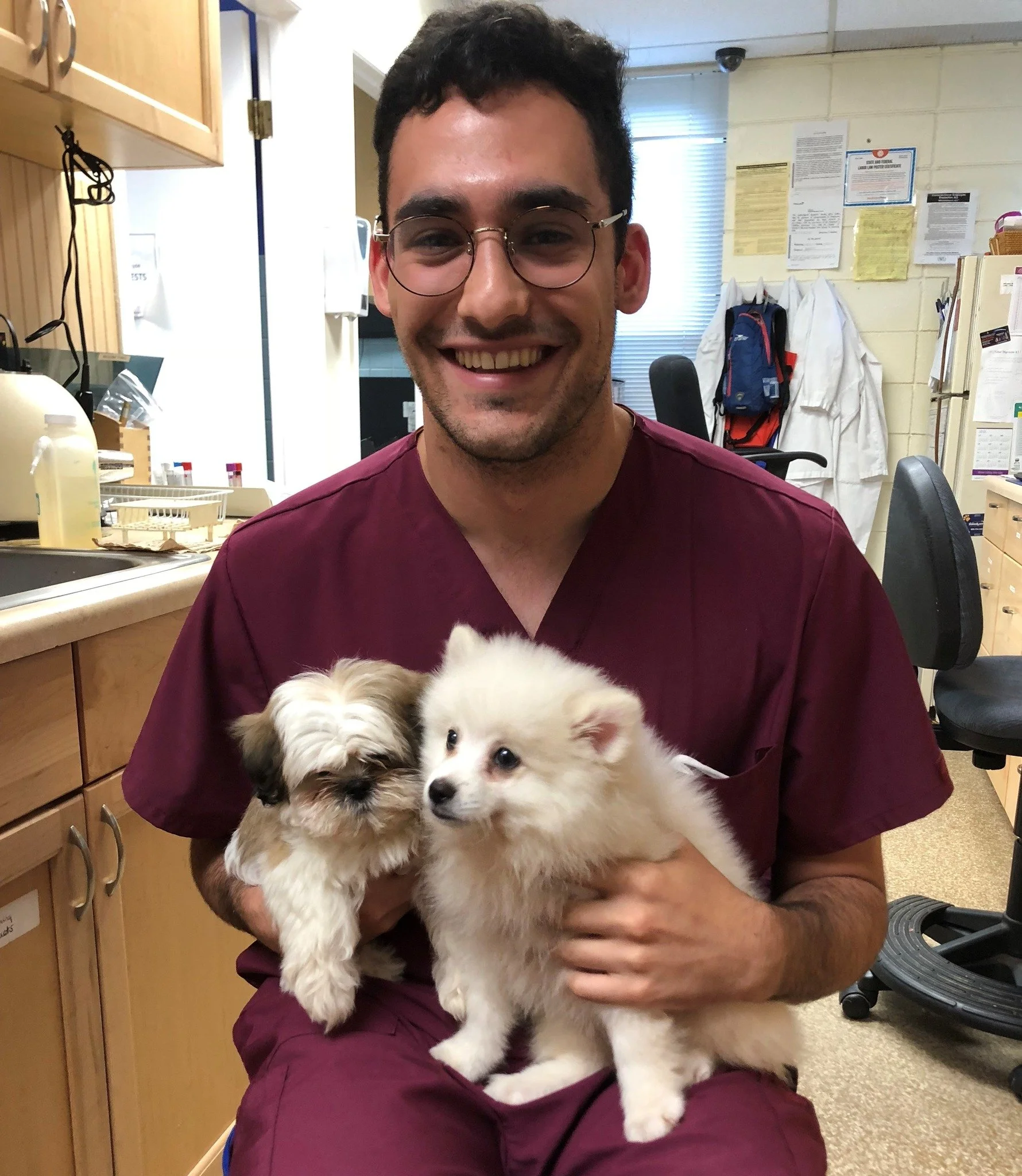 Compassionate Veterinary Services — Faircrest Veterinary Care