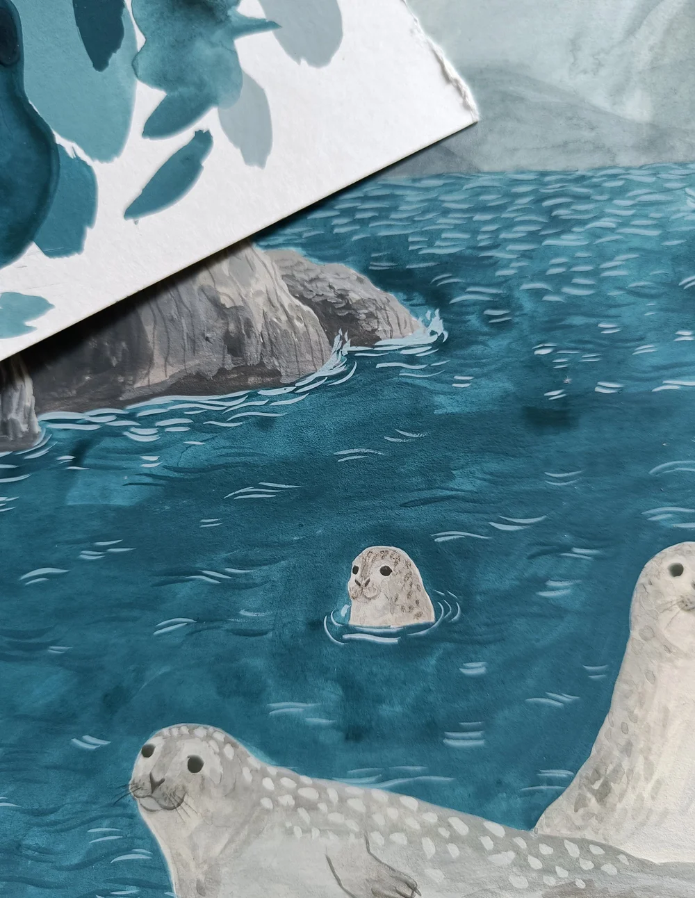 Birds and seals, an experiment — Cécile Berrubé illustrations