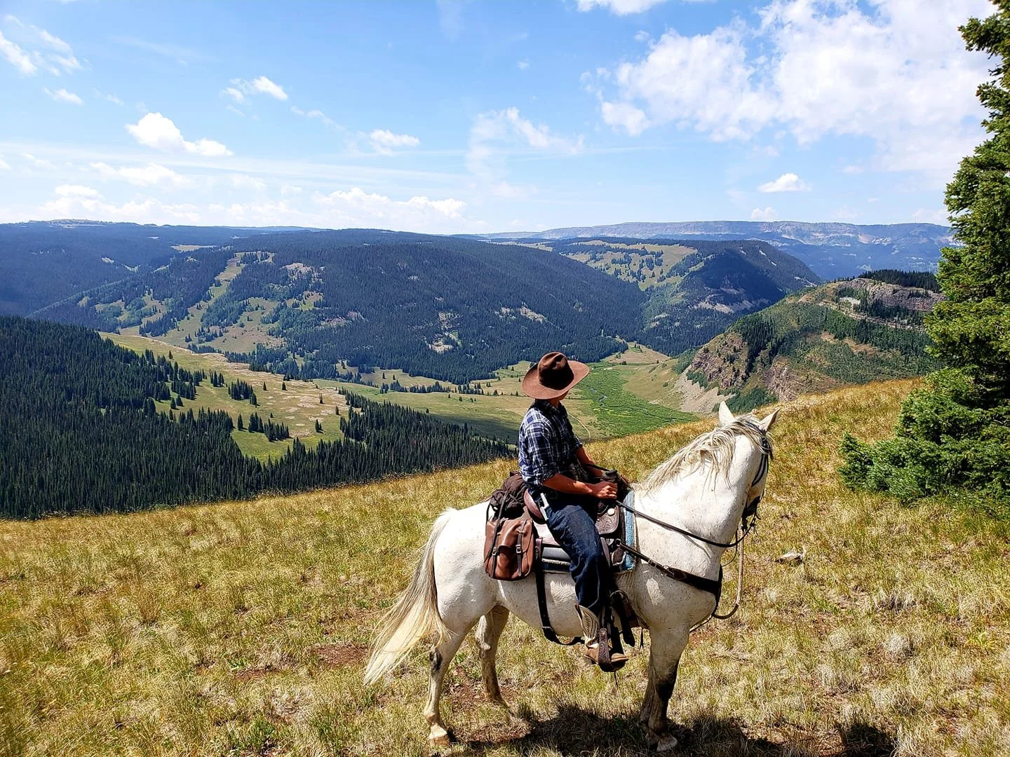 Colorado Horseback Riding Trips — Budge's Wilderness Lodge