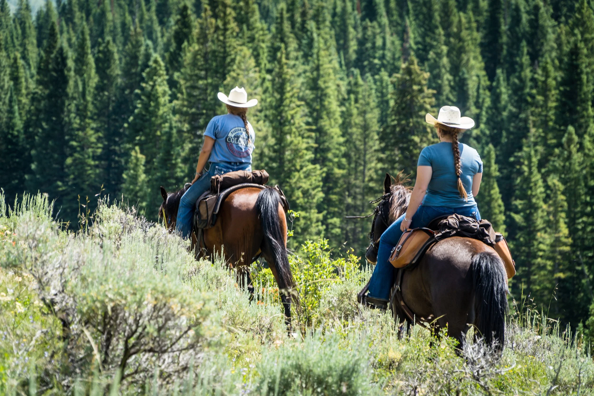 Colorado Horseback Riding Trips — Budge's Wilderness Lodge