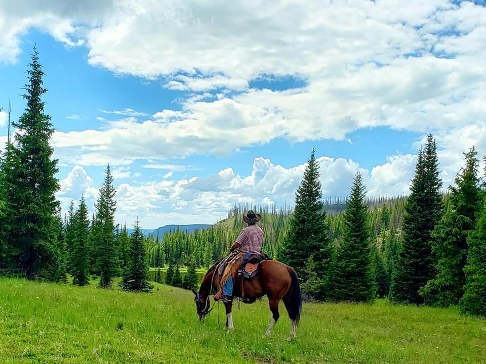Colorado Horseback Riding Trips — Budge's Wilderness Lodge