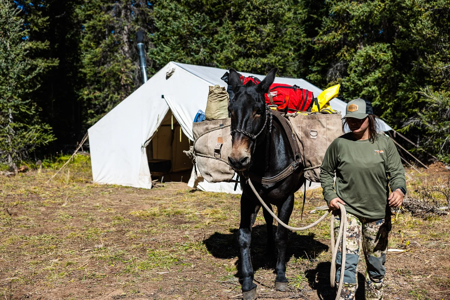 Colorado Elk Hunts in the Flat Tops Wilderness Area — Budge's ...