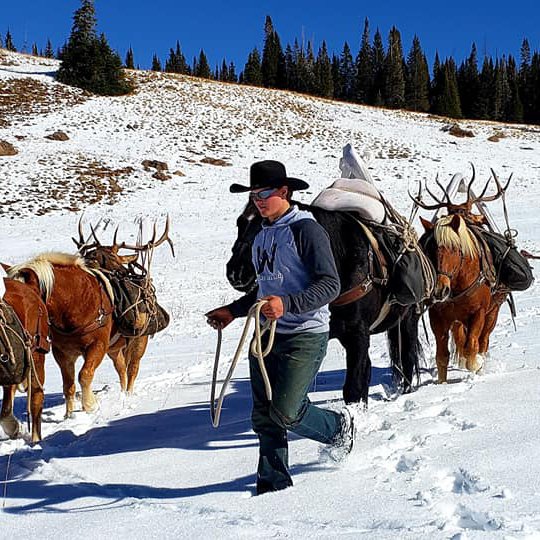 Colorado Elk Hunts in the Flat Tops Wilderness Area — Budge's ...