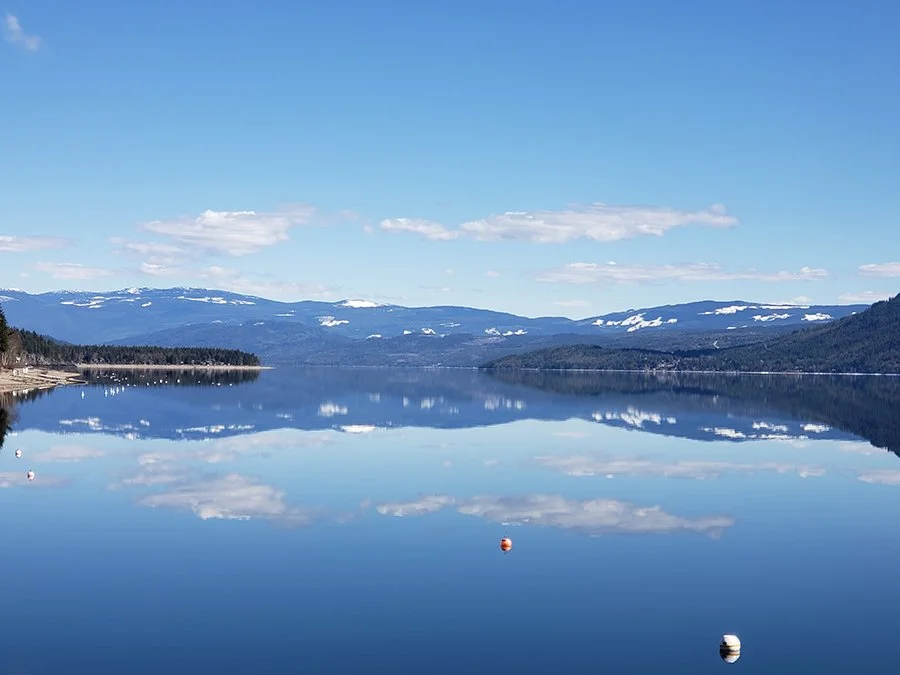 North Shuswap Community Directory — North Shuswap Kicker