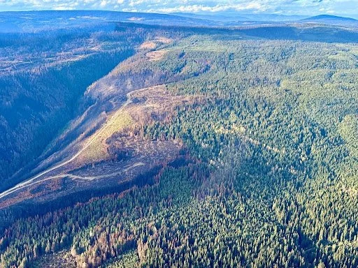 Investigating the Lower East Adams Aerial Ignition — North Shuswap Kicker